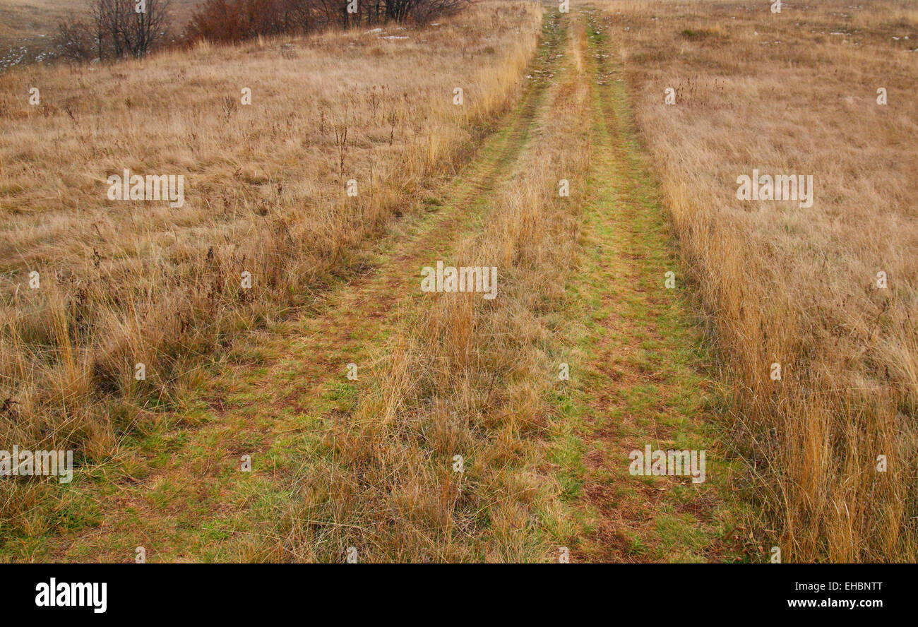 Country road through the grass field Stock Photo - Alamy