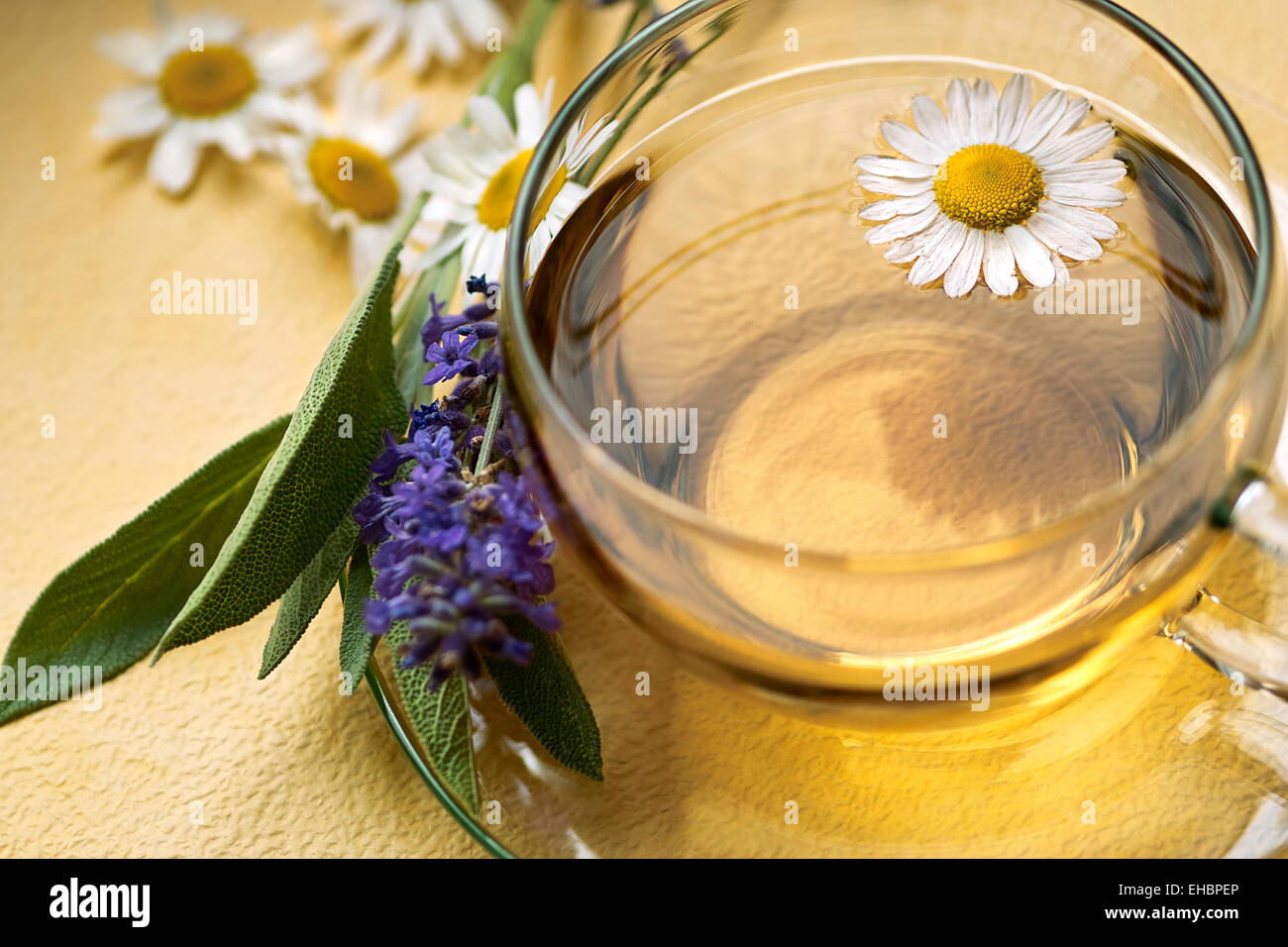 Salbei tea hi-res stock photography and images - Alamy