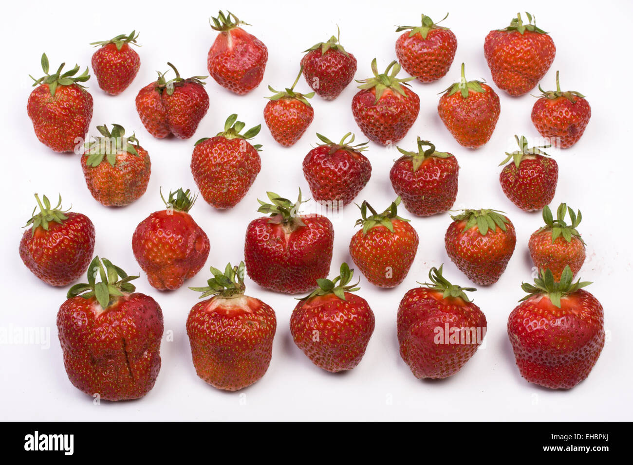 a lot of strawberries on white background Stock Photo - Alamy