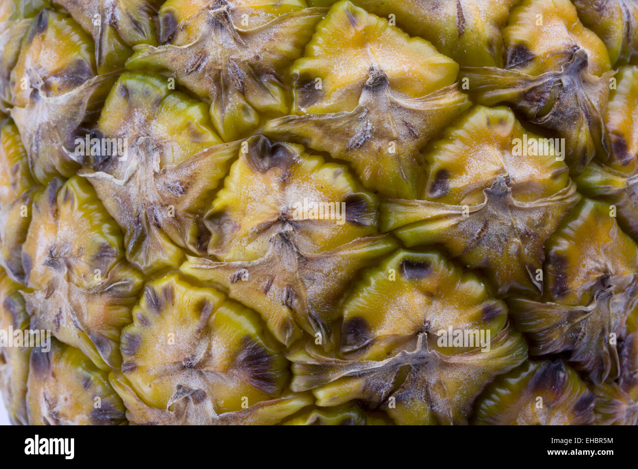 Close up pineapple skin hi-res stock photography and images - Alamy