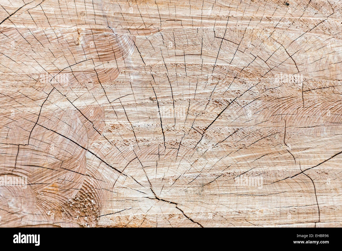 Wood texture or background made of cut tree trunk Stock Photo - Alamy