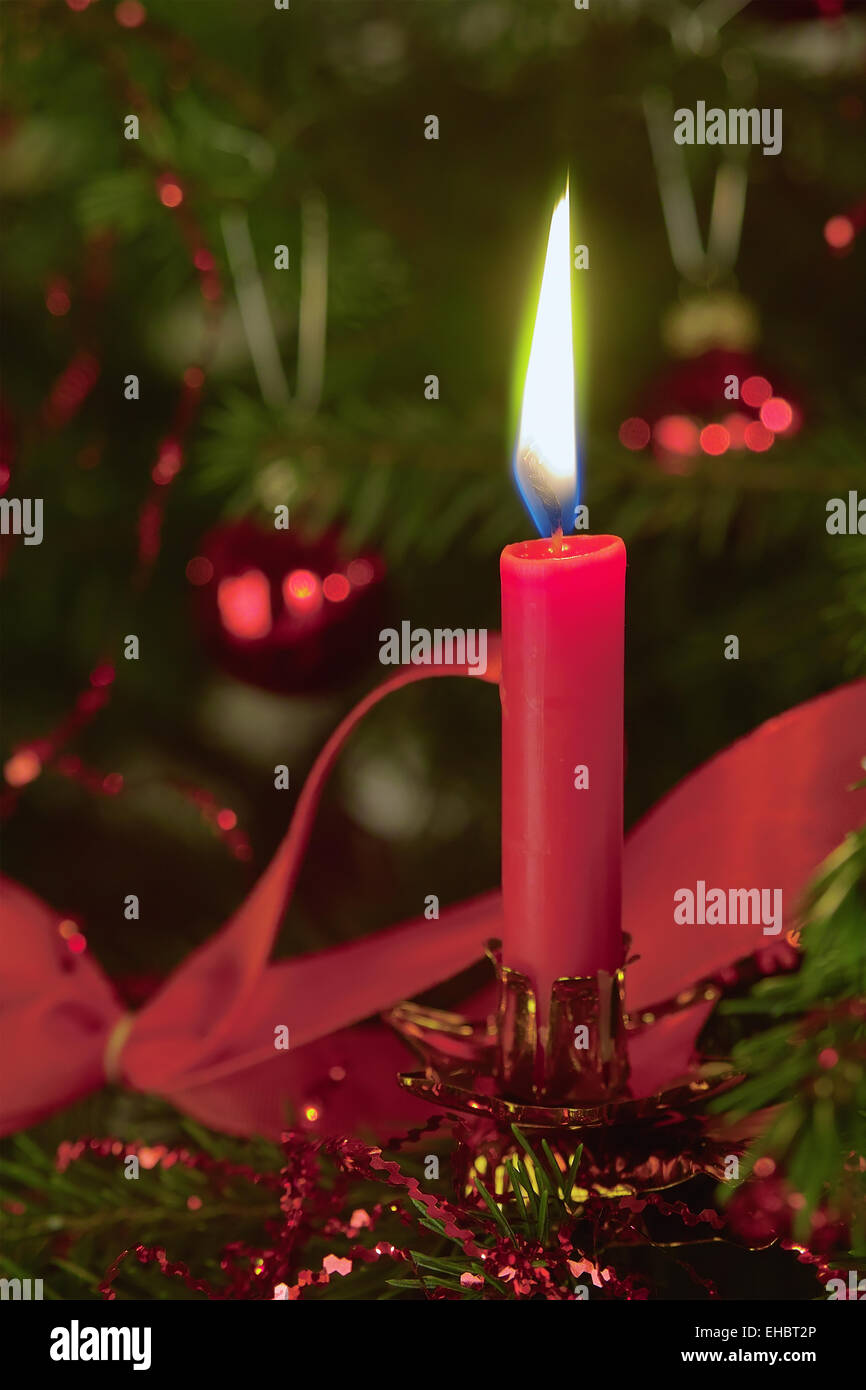 Candle on the Christmas tree Stock Photo - Alamy