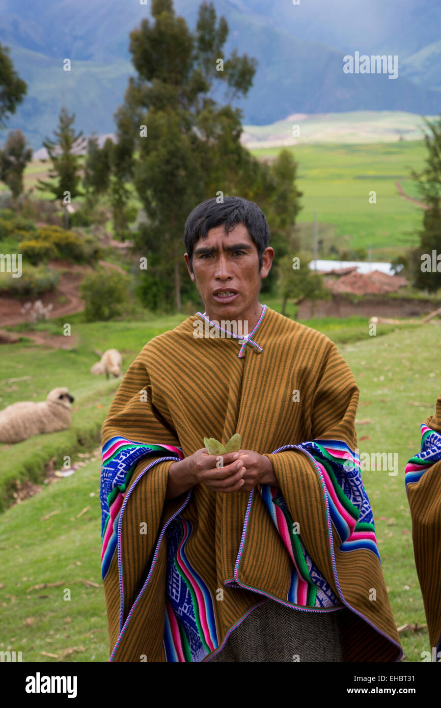 Coca leaf ceremony, Misminay village, Sacred Valley, Cusco Region ...