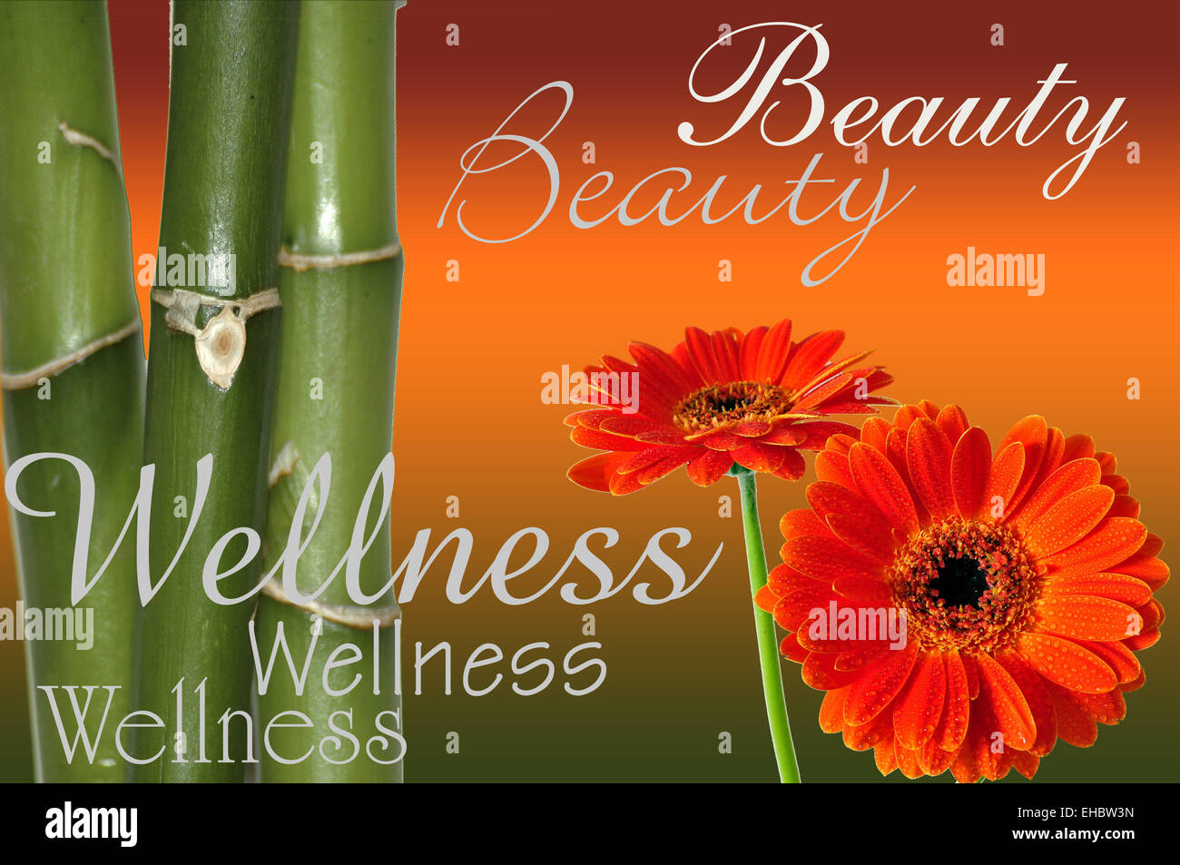 Wellness collage hi-res stock photography and images - Alamy