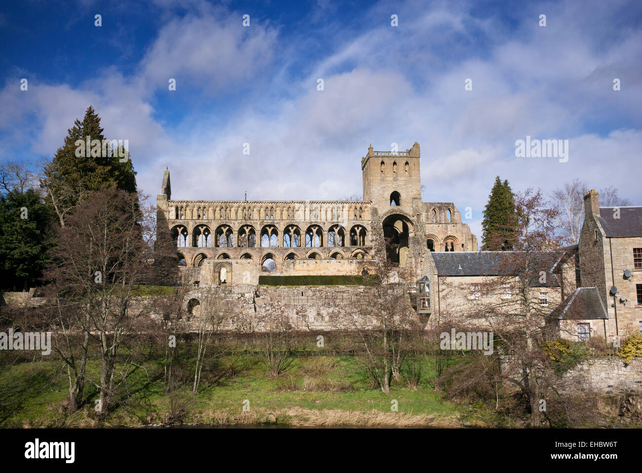 Jedburgh abbey. Jedburgh. Scottish Borders, Scotland Stock Photo - Alamy
