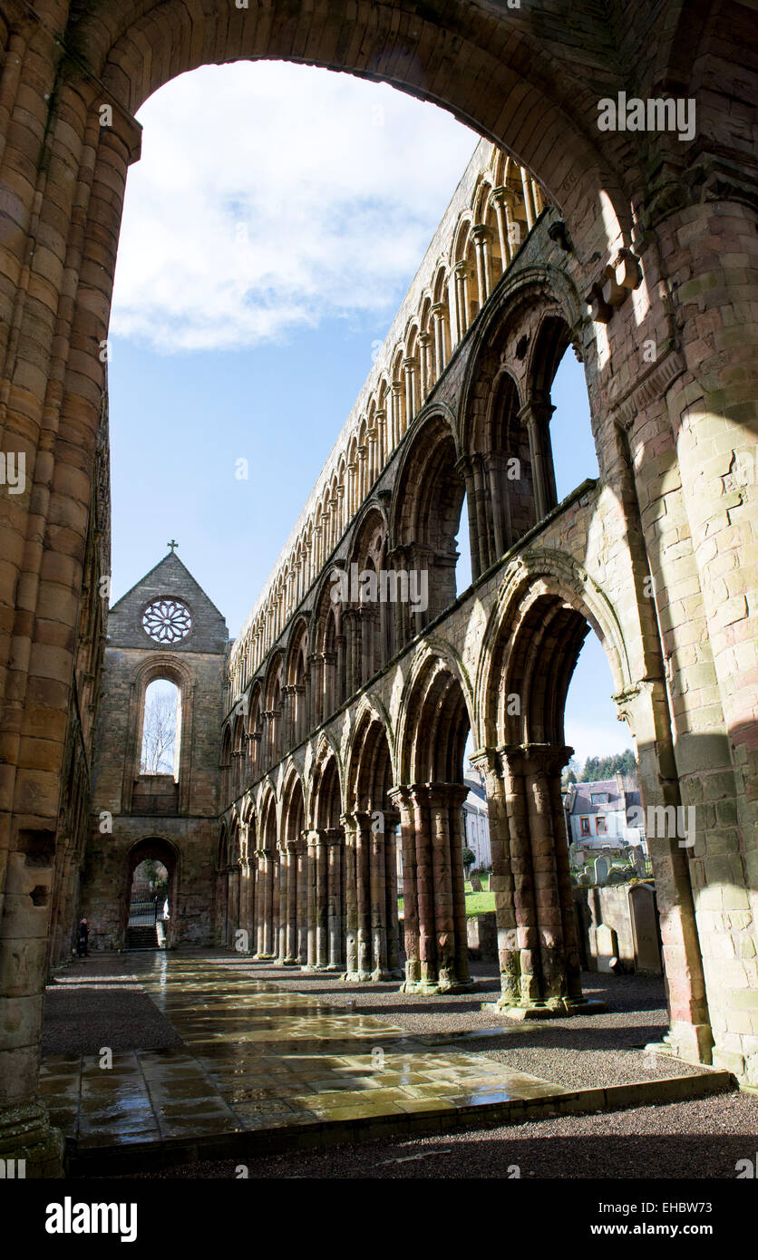 Jedburgh abbey. Jedburgh. Scottish Borders, Scotland Stock Photo - Alamy