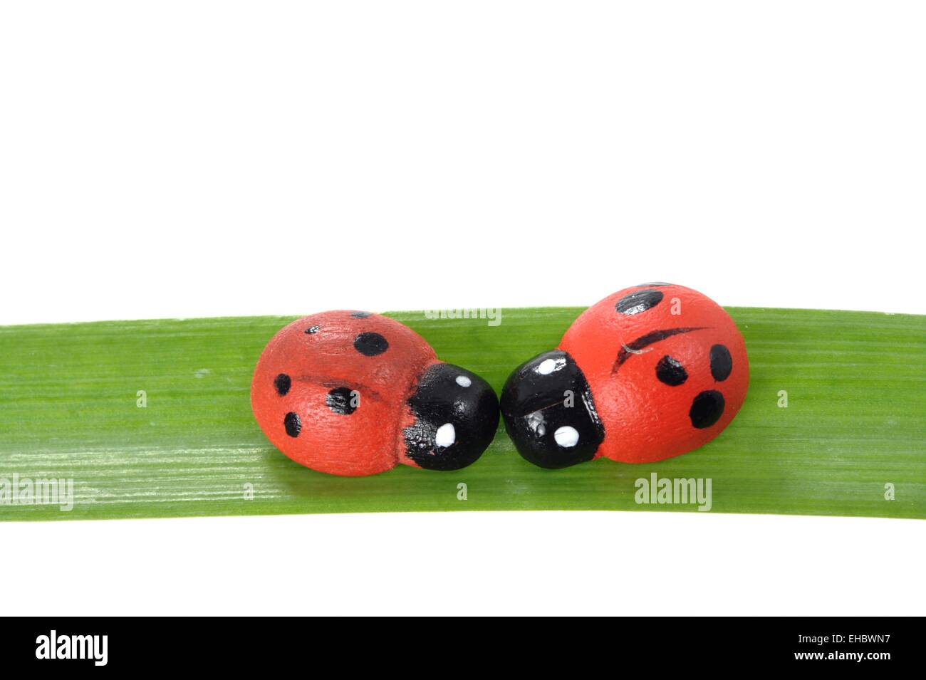 Care for bugs hi-res stock photography and images - Alamy