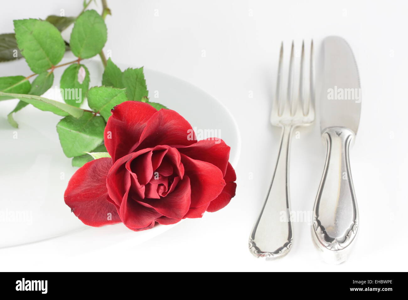 rose on a plate Stock Photo - Alamy