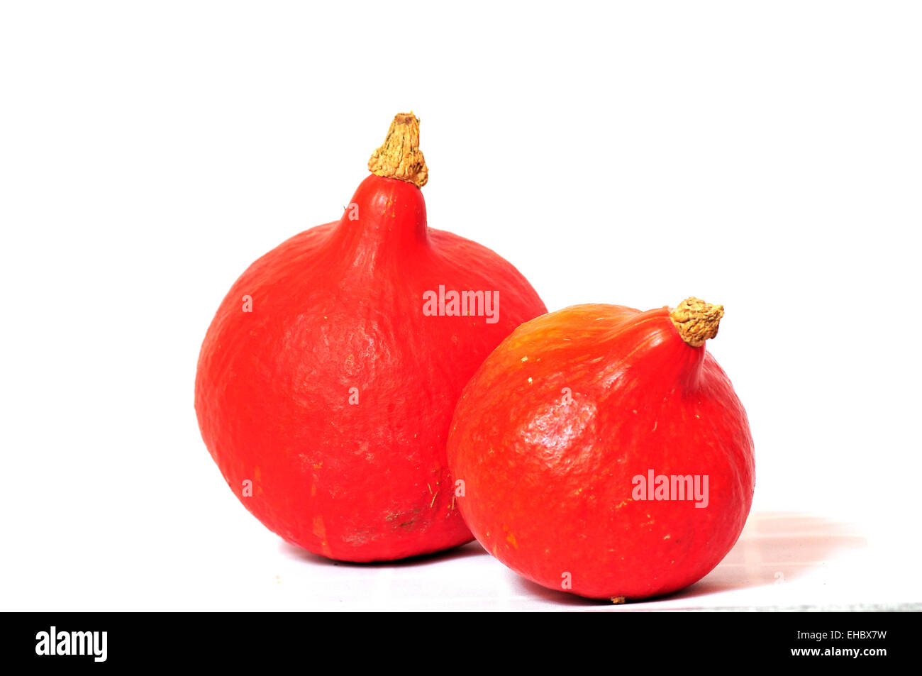 Hokkaido squash hi-res stock photography and images - Alamy