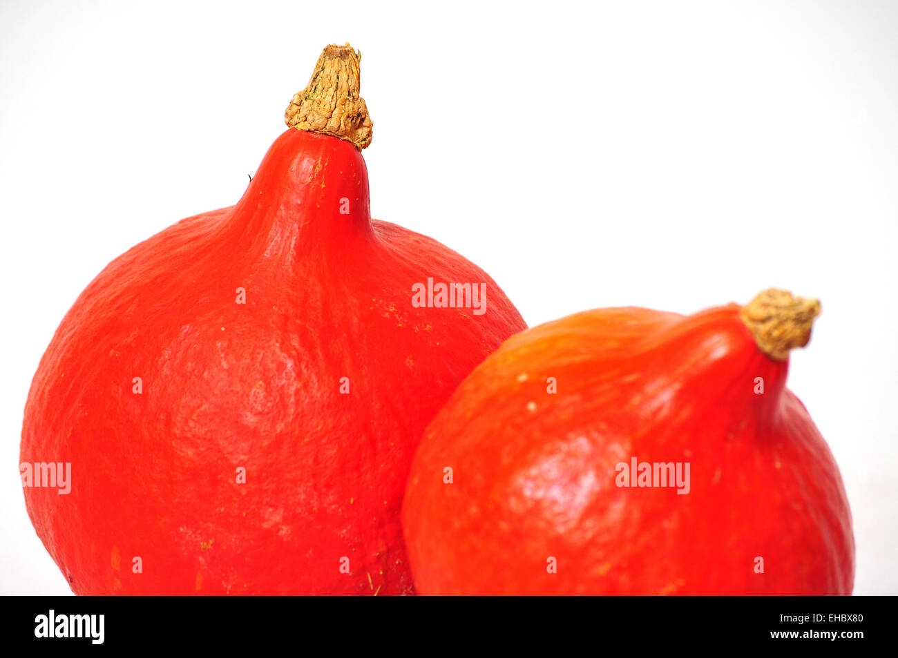 Kurbis hokkaido hi-res stock photography and images - Alamy