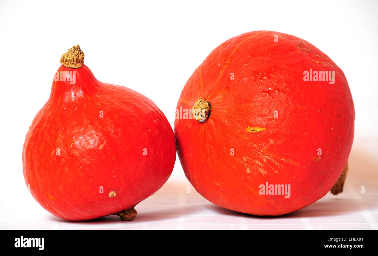 Hokkaido squash hi-res stock photography and images - Alamy