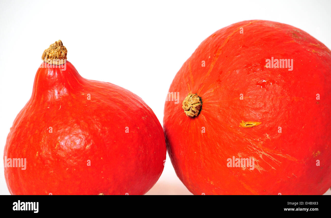 Hokkaido squash hi-res stock photography and images - Alamy