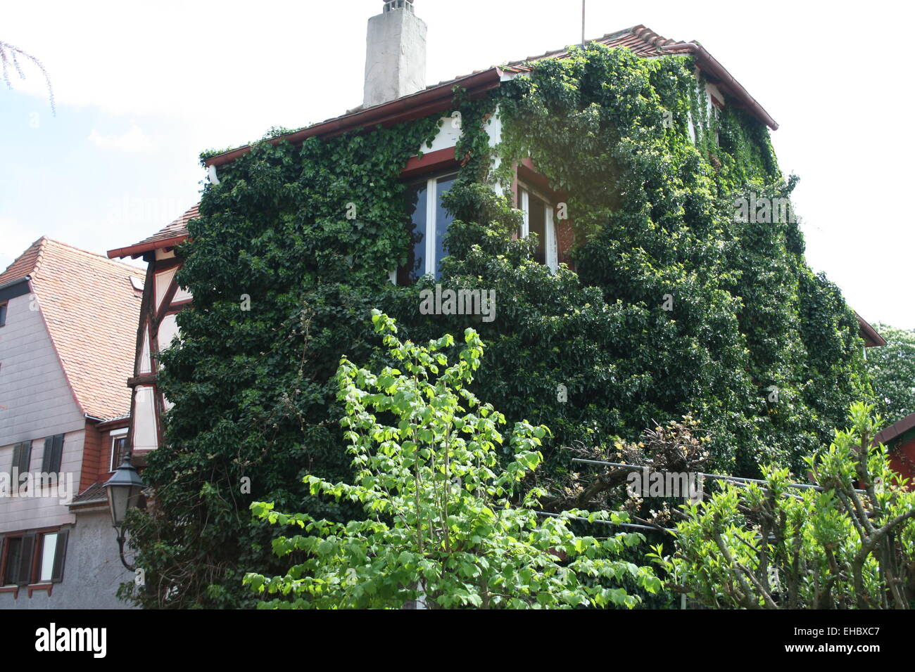 House overgrown hi-res stock photography and images - Alamy