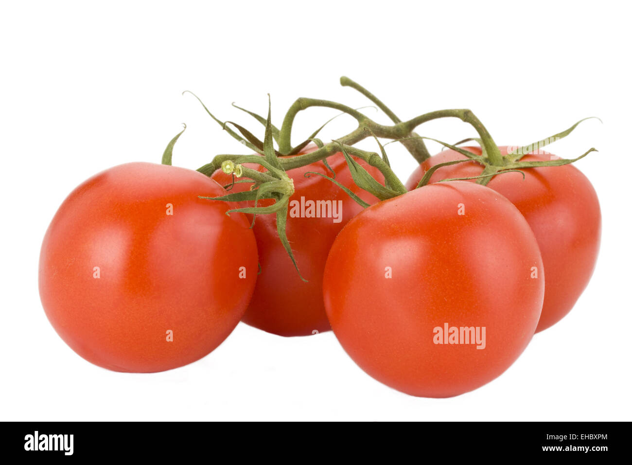 four tomatoes isolated on white background Stock Photo - Alamy