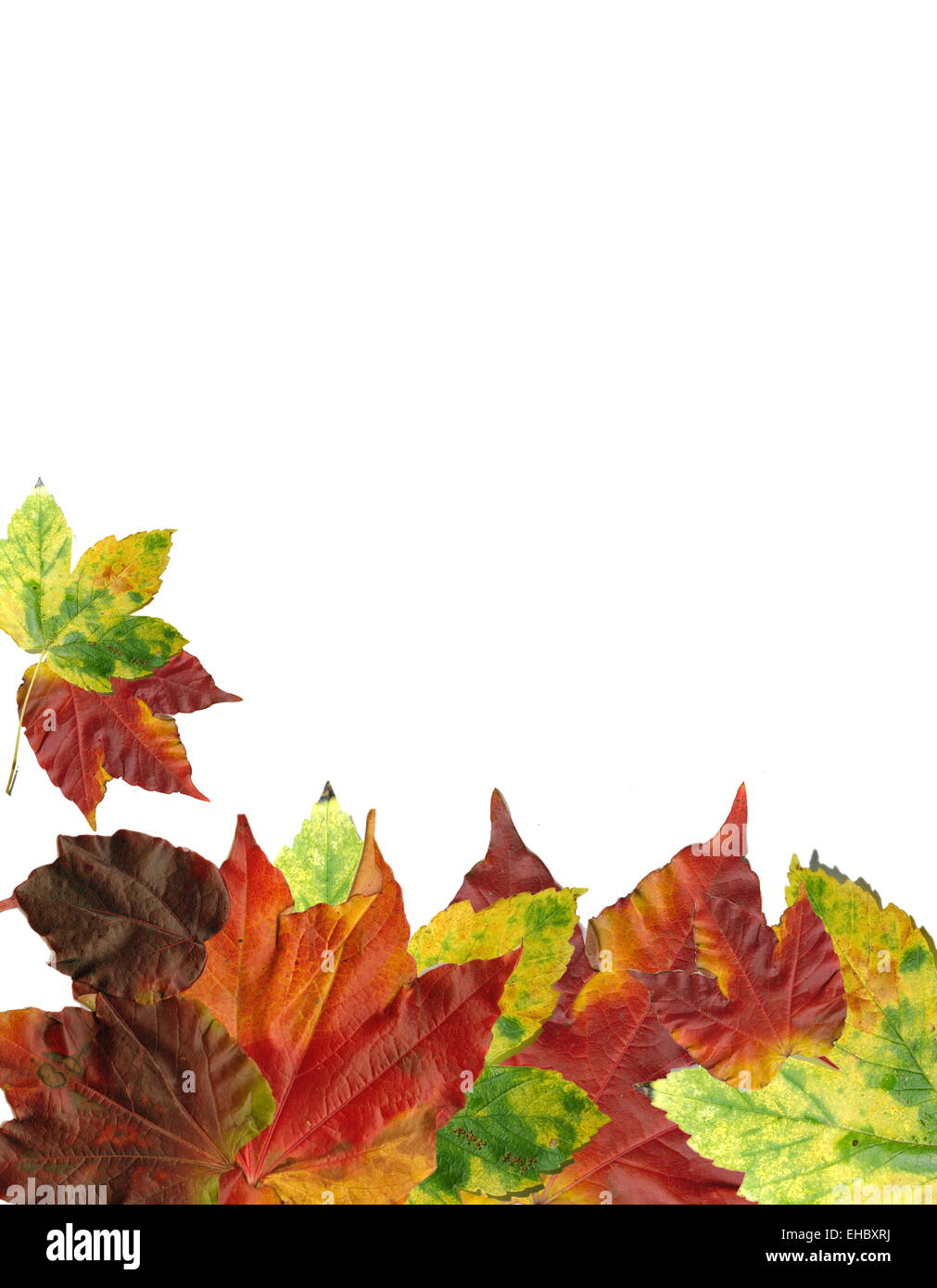 color Autumn card background Stock Photo - Alamy