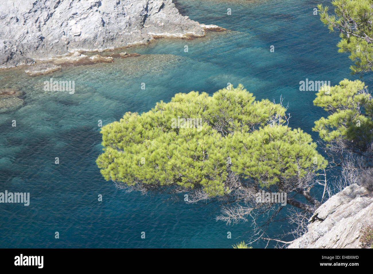 Yachting on the south coast hi-res stock photography and images - Alamy