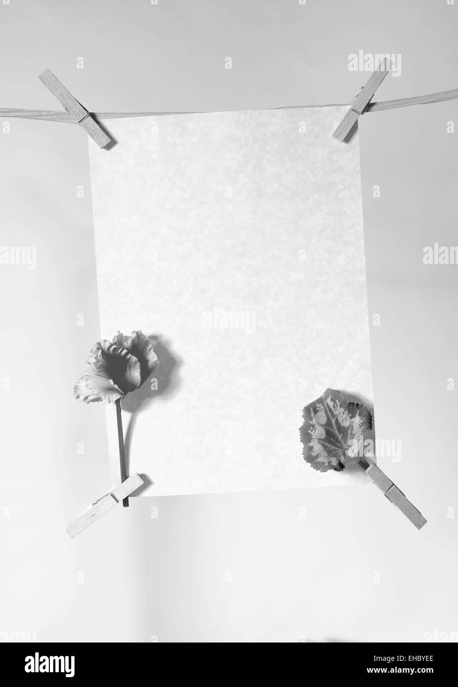 Ast letter Black and White Stock Photos & Images - Alamy