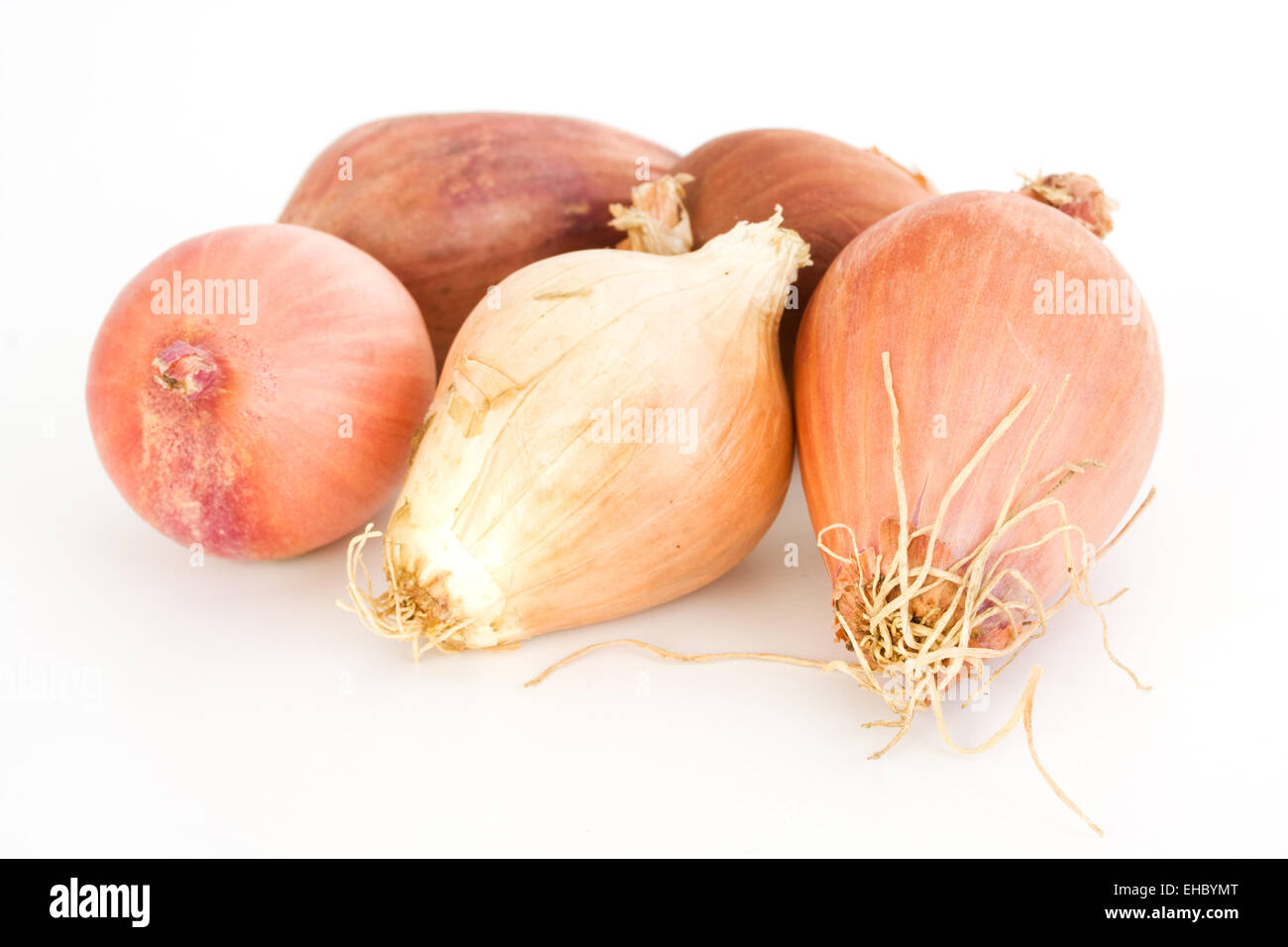 five shallots isolated on white background Stock Photo - Alamy