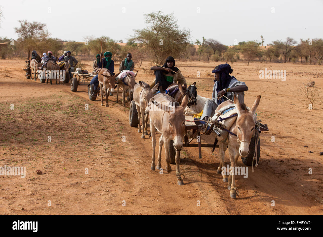 Donkey ride woman hi-res stock photography and images - Alamy