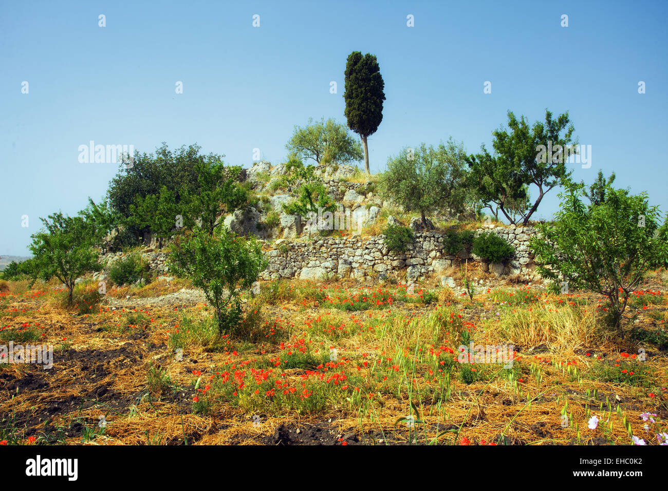 Cerumbelle prehistoric pyramid and altar in Sicily Stock Photo - Alamy