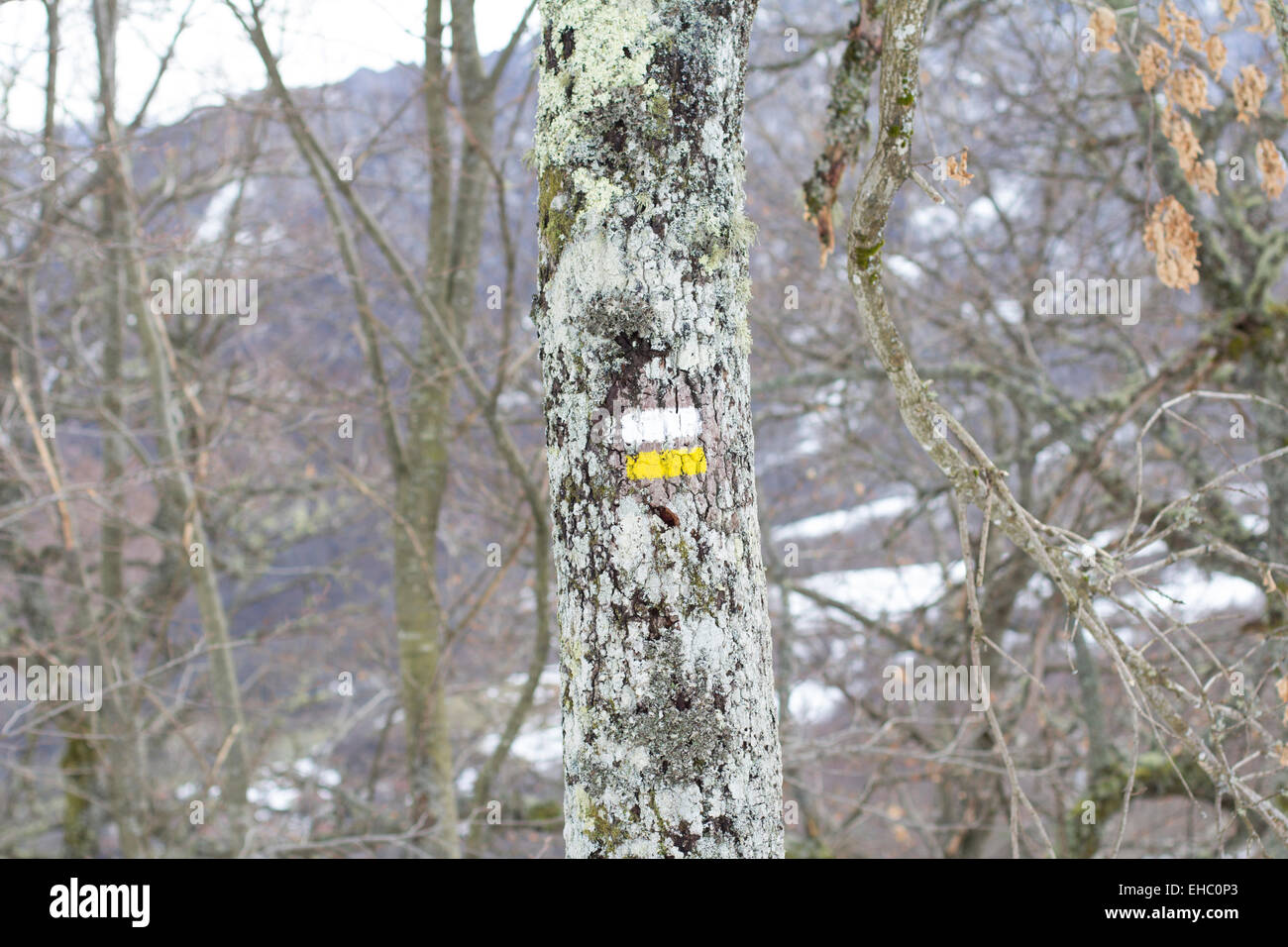 Small trail hi-res stock photography and images - Alamy