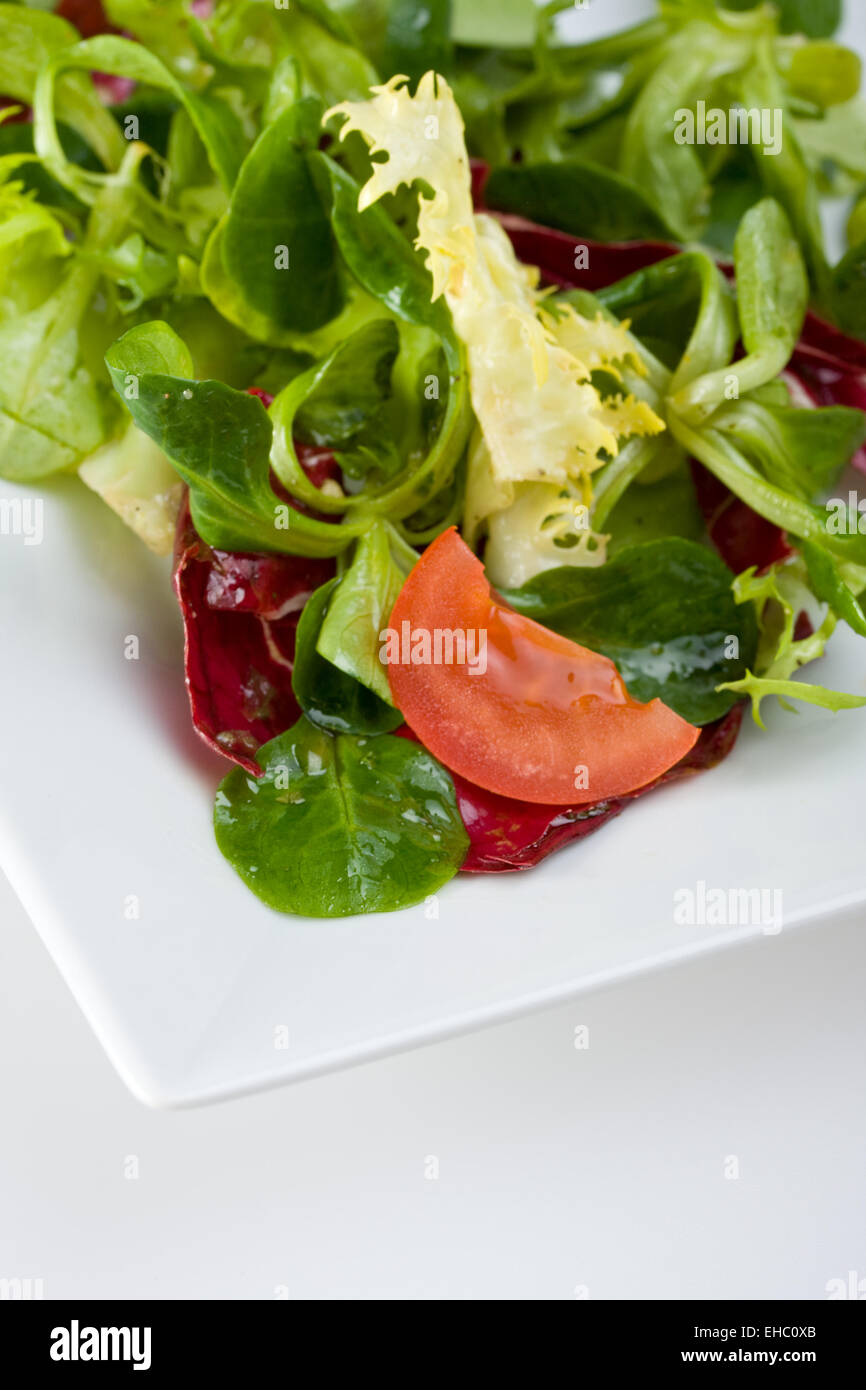 Rapunzelsalat hi-res stock photography and images - Alamy