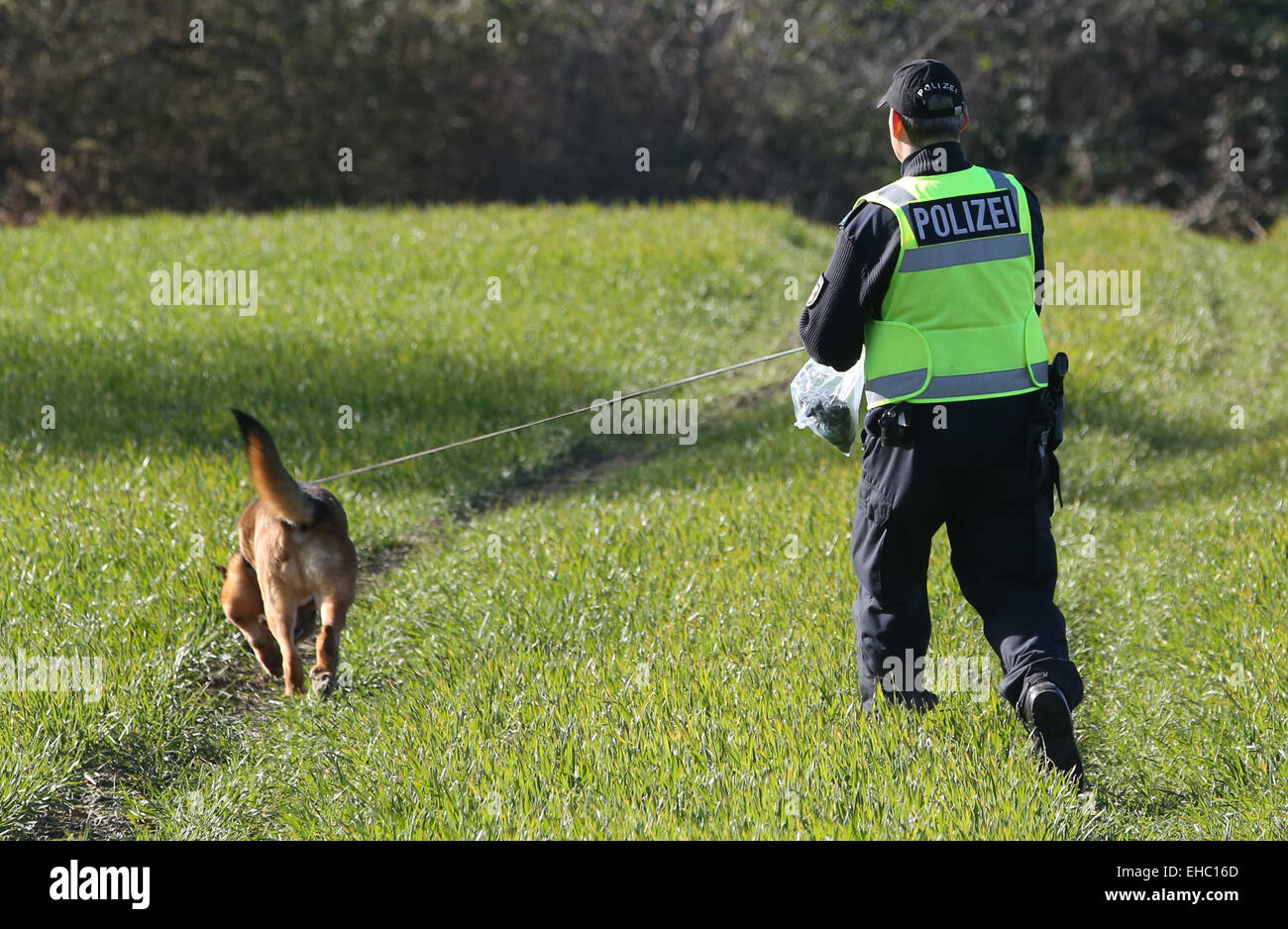 The police searchs with tracking dogs for an offender who is classified ...