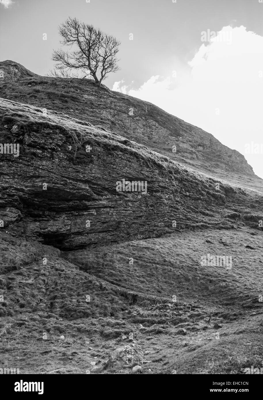 Spring walking trails Black and White Stock Photos & Images - Alamy