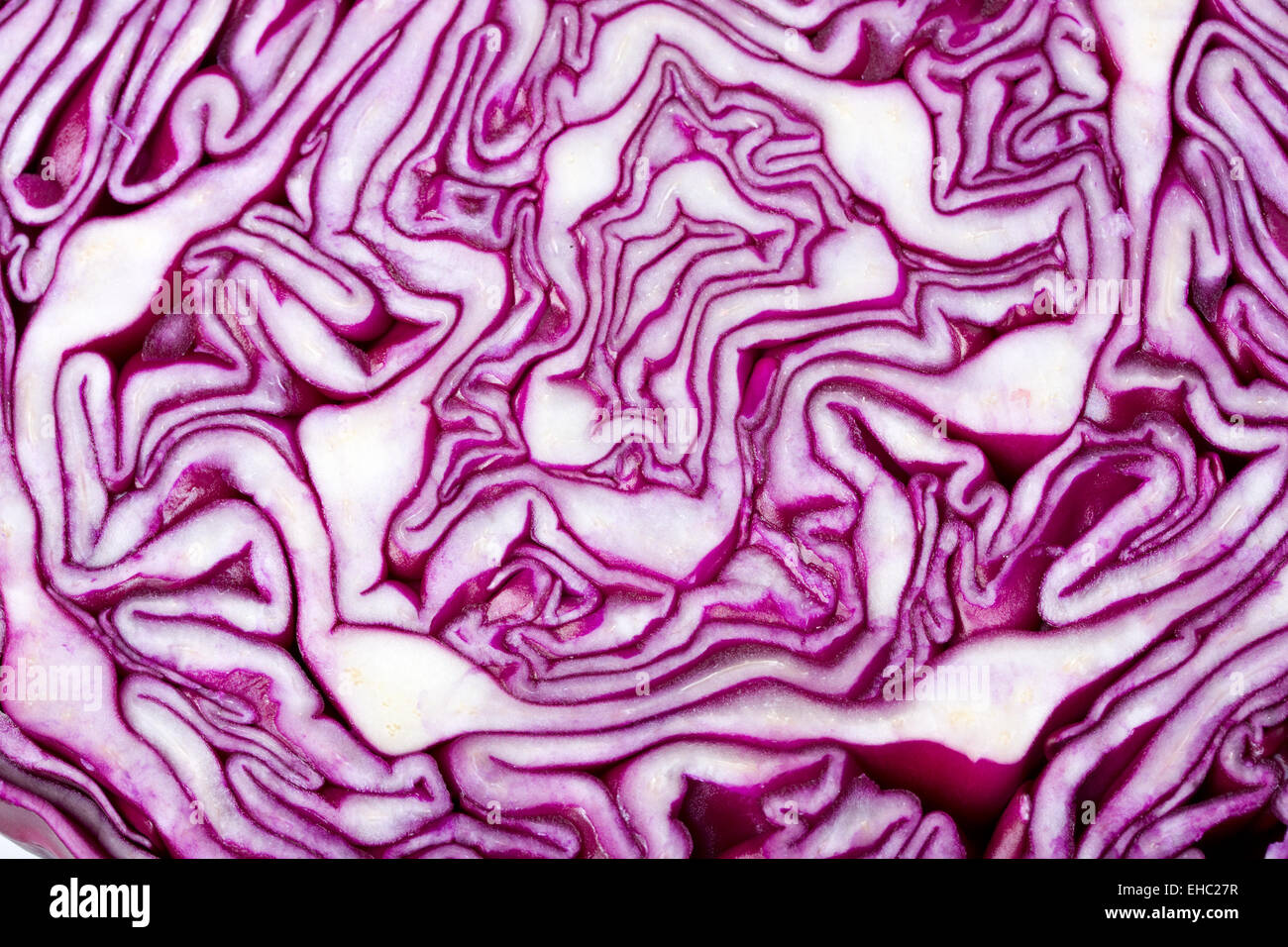 Cabbage slice hi-res stock photography and images - Alamy