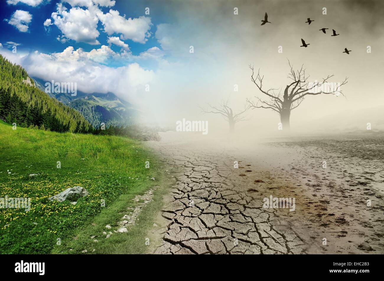 Human disaster hi-res stock photography and images - Alamy