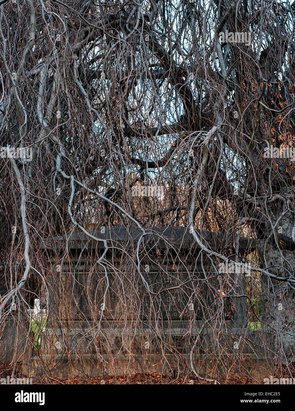 A tomb underneath the branches of a tree in Green-Wood cemetery ...