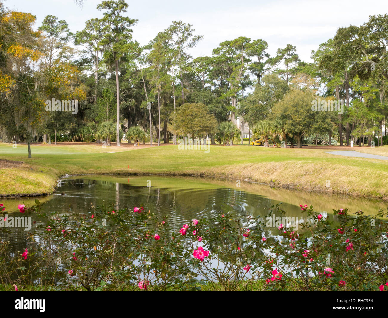 TCP Sawgrass, Florida, USA Stock Photo - Alamy