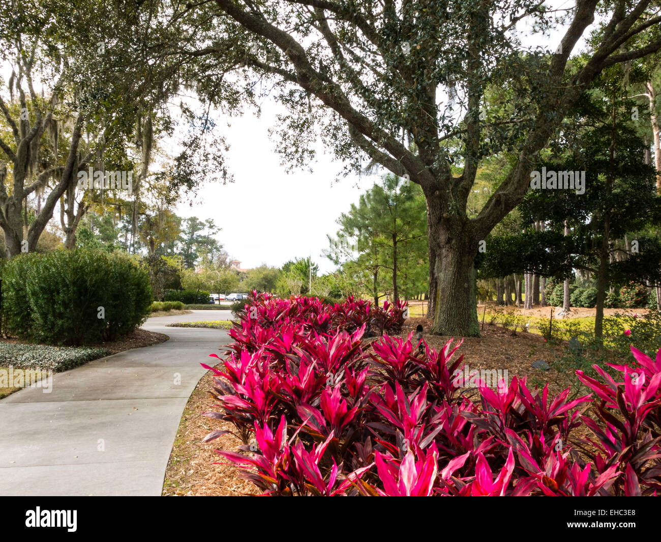 TCP Sawgrass, Florida, USA Stock Photo - Alamy