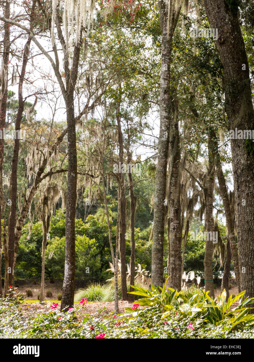 Sawgrass golf hi-res stock photography and images - Alamy