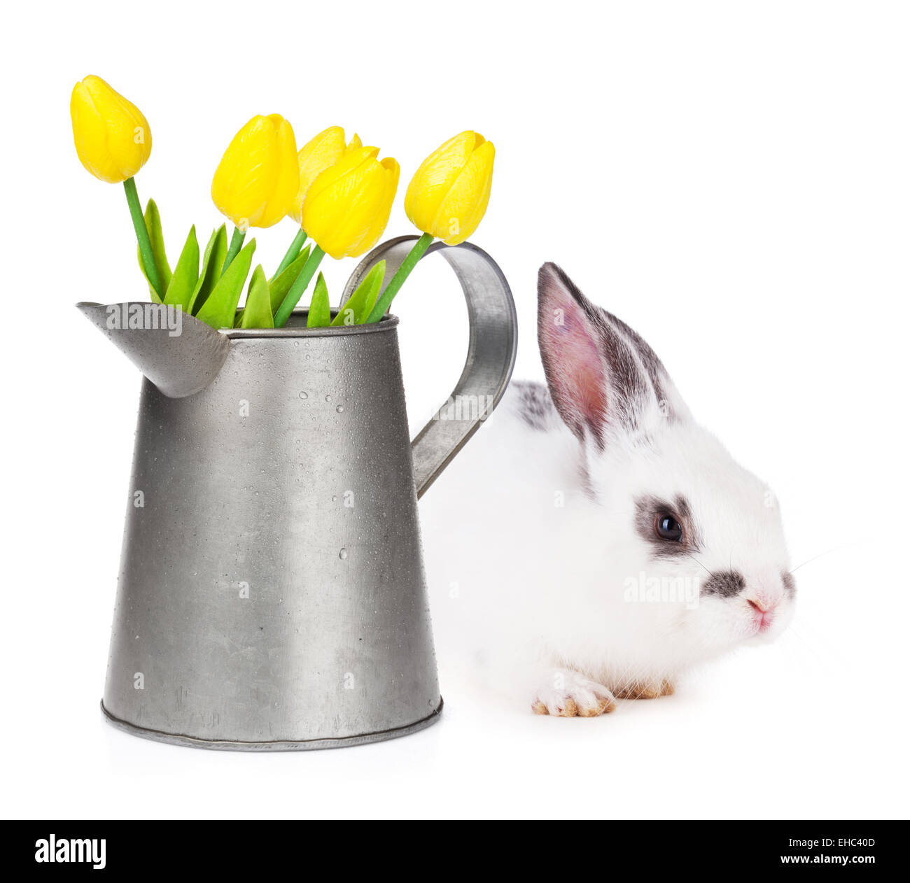White rabbit on yellow isolated hi-res stock photography and images - Alamy