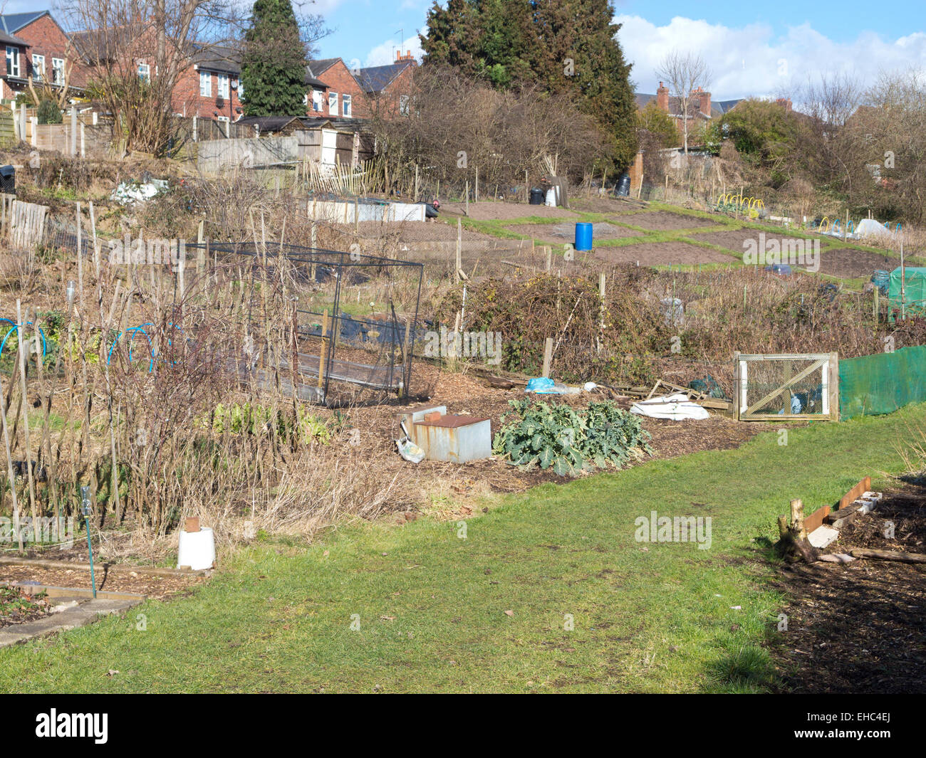 Vegetable plot winter hi-res stock photography and images - Alamy