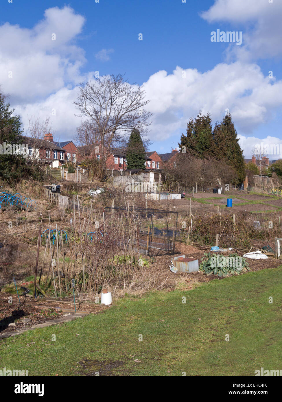 Allotments in Winter, UK Stock Photo - Alamy