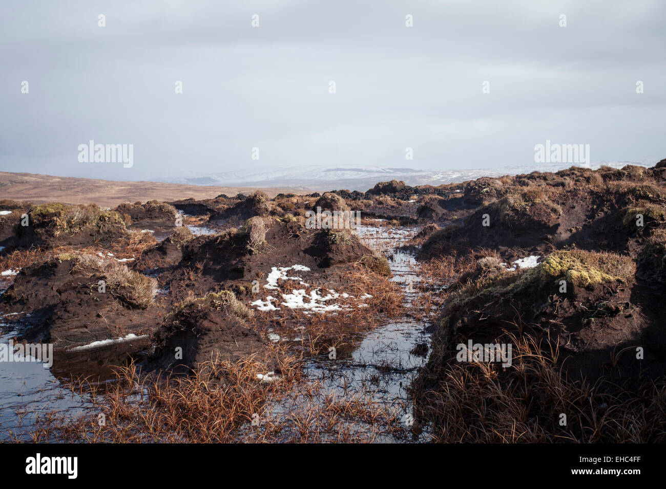 Bogholes on bogland Stock Photo - Alamy