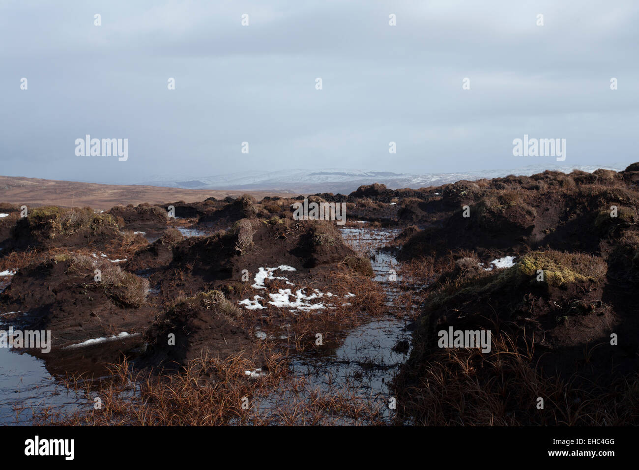 Bogland hi-res stock photography and images - Alamy