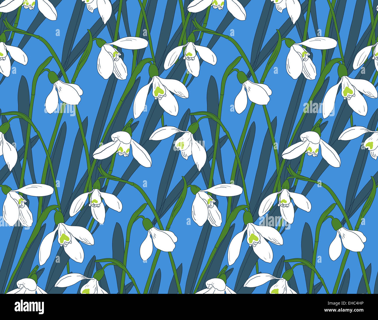 Snowdrop sketch hi-res stock photography and images - Alamy