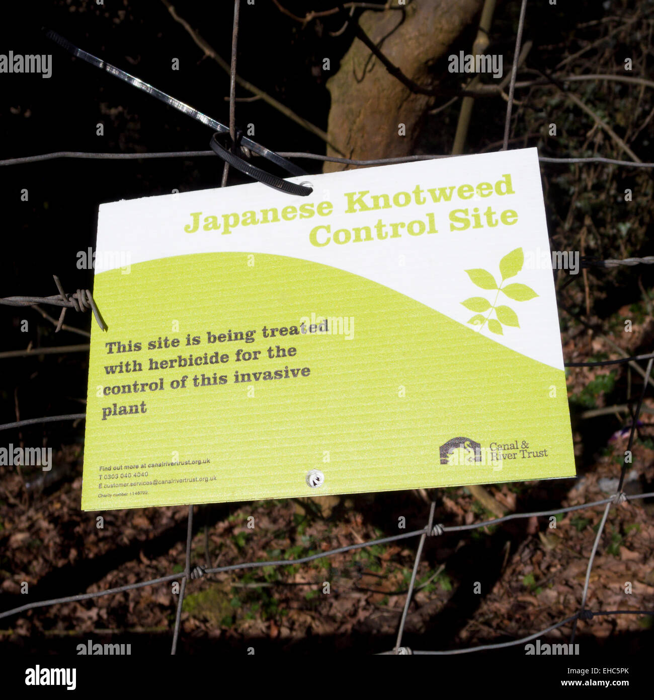 Invasive alien plant control hi-res stock photography and images - Alamy