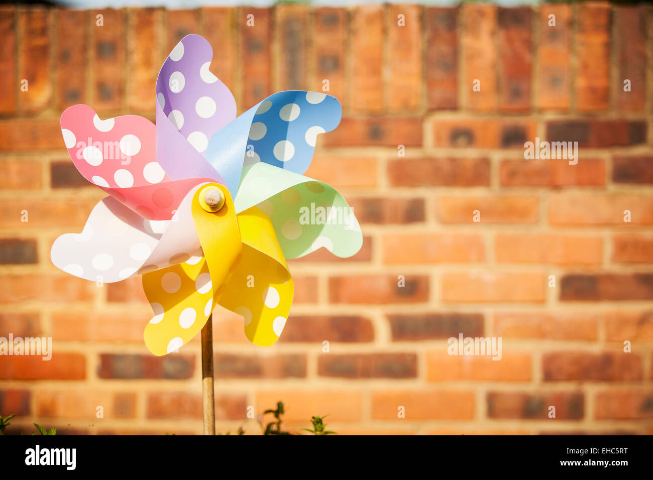 Multi colored pin wheel windmill Stock Photo - Alamy