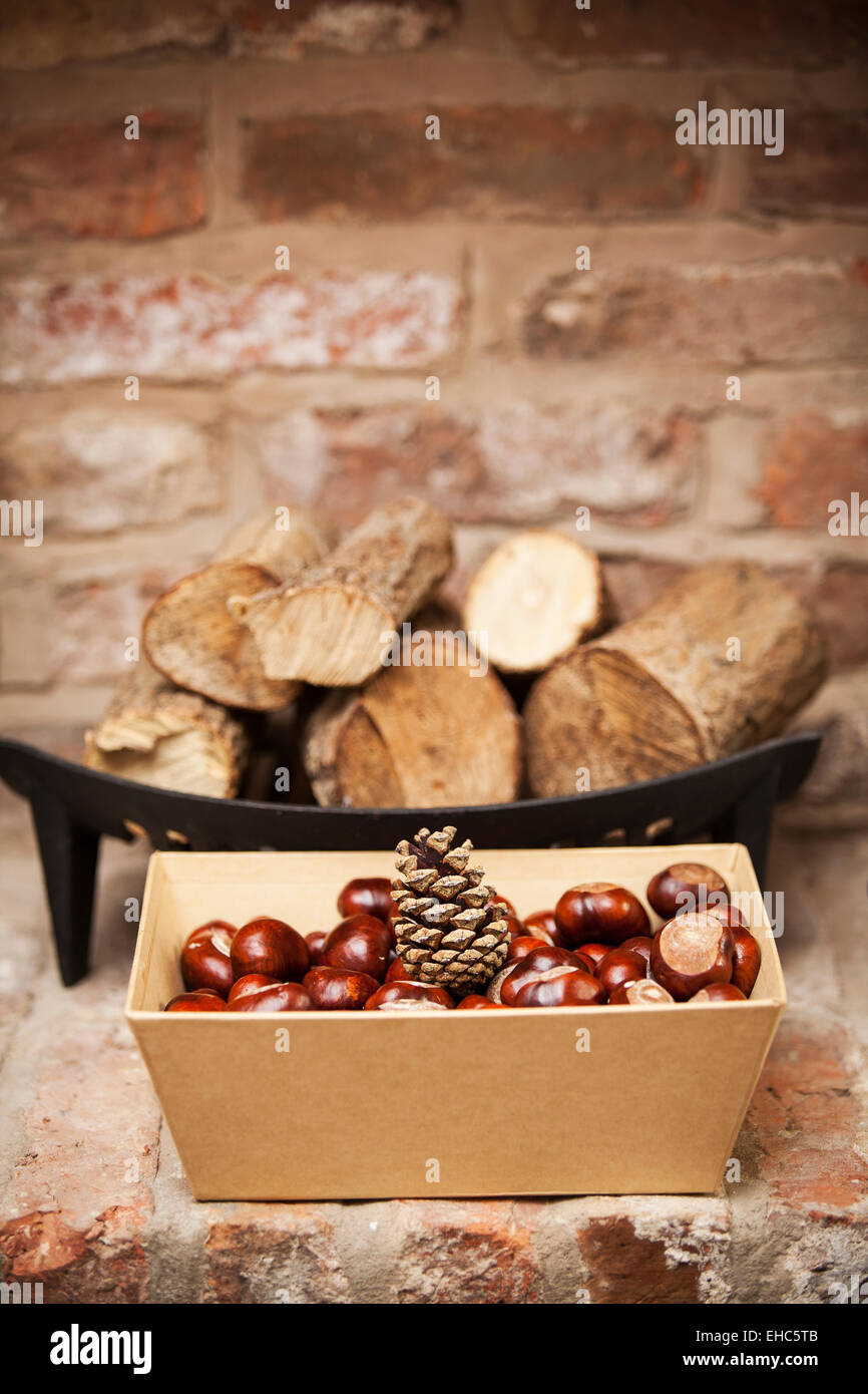 Spider horse chestnut hi-res stock photography and images - Alamy