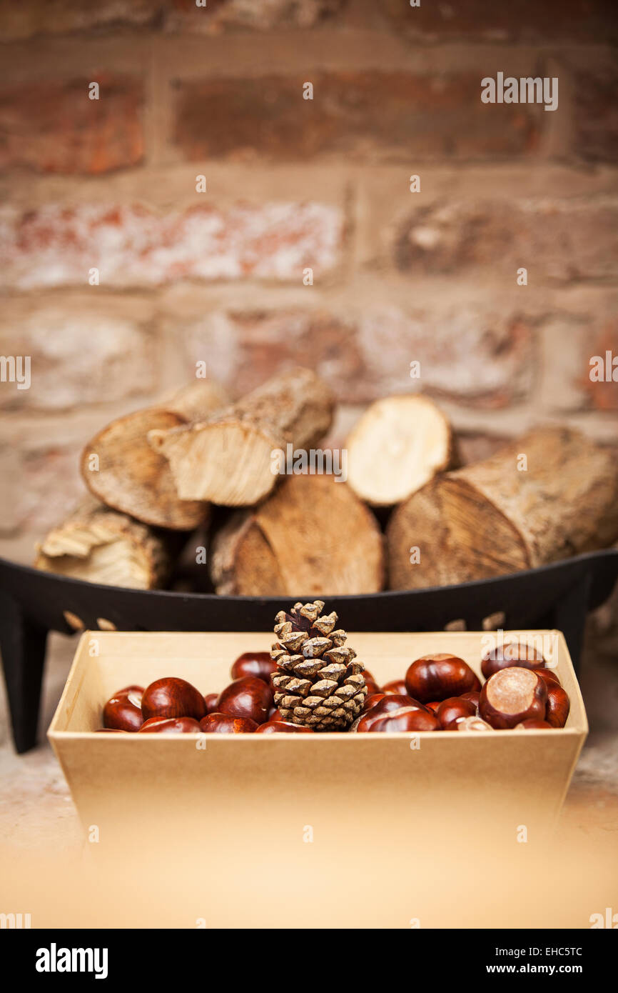 Spider horse chestnut hi-res stock photography and images - Alamy