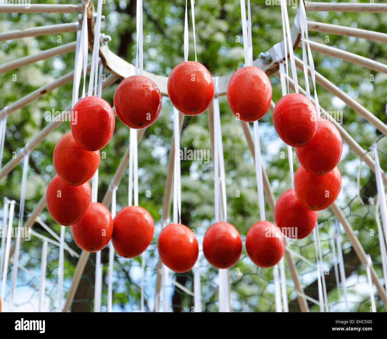 Circle of eggs hi-res stock photography and images - Alamy