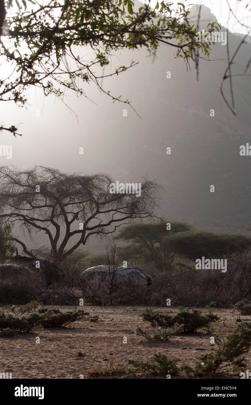 Traditional huts under a big acacia tree in a Samburu village close to ...