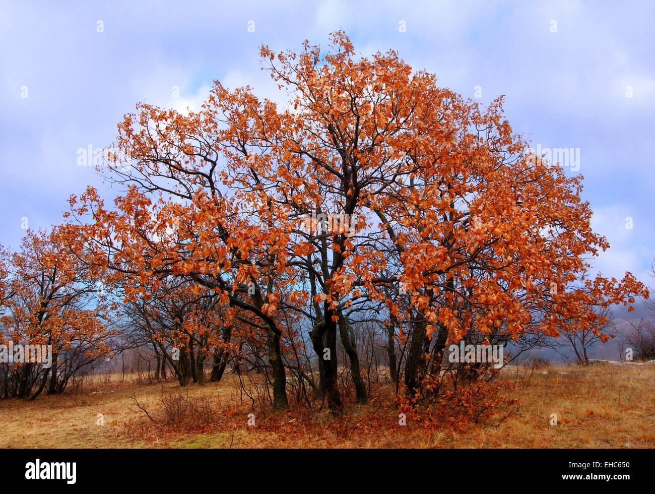 The dobrogea region hi-res stock photography and images - Alamy