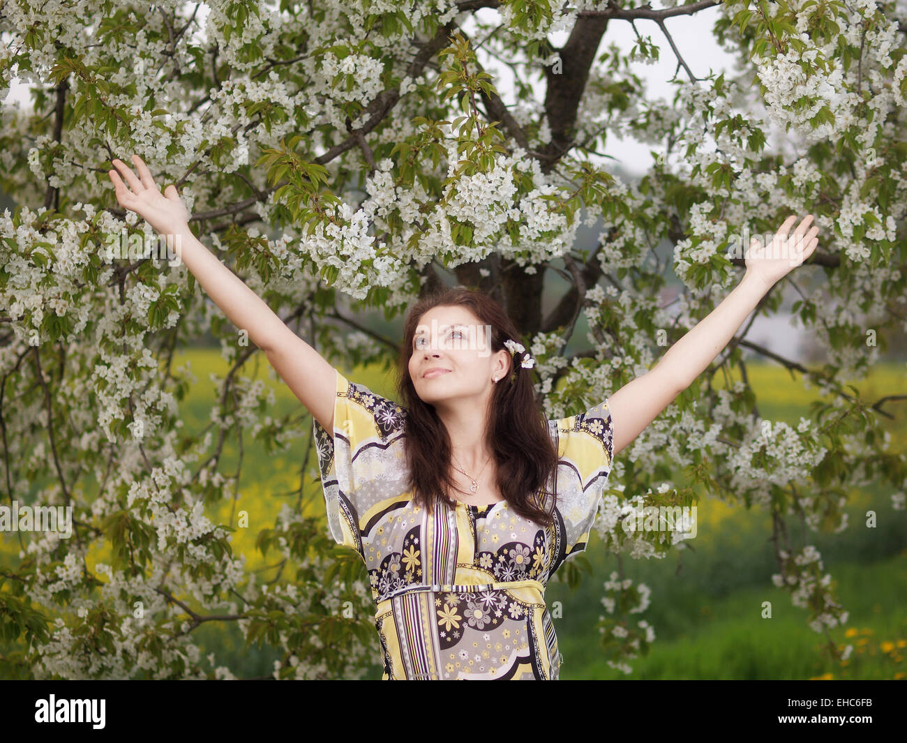 Outdoor blossoming hi-res stock photography and images - Alamy