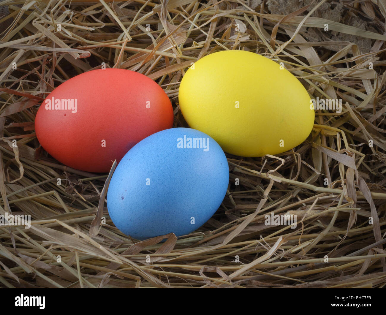 yellow, red and blue color painted Easter eggs hay Stock Photo - Alamy