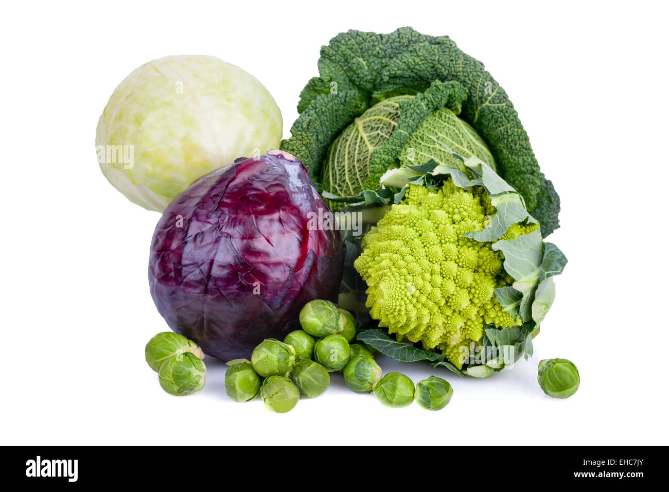 Types Of Cabbages Stock Photo - Alamy